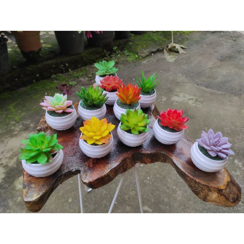 Jual sekulen mini palsu set pot / sekulen artificial / bunga artificial ...