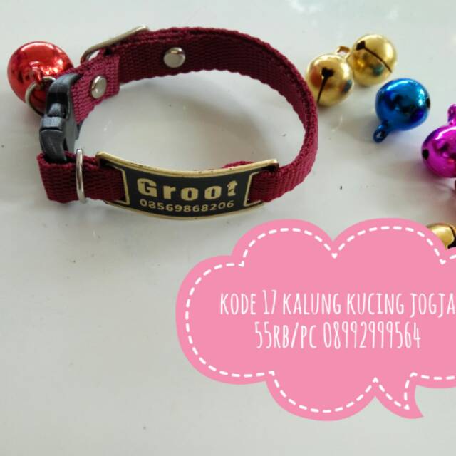 Jual Kalung kucing + name tag kucing anjing | Shopee Indonesia
