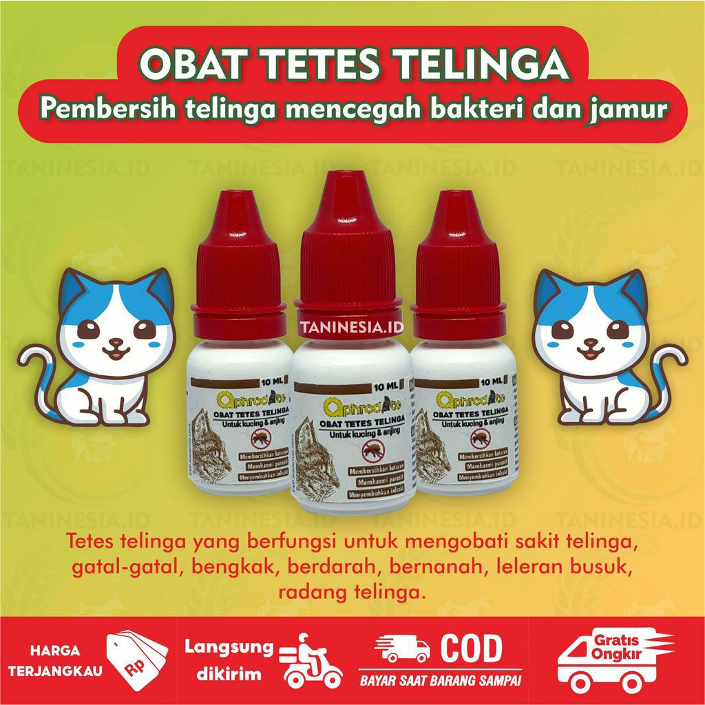 Jual OBAT TETES TELINGA KUCING OBAT RADANG TELINGA KUCING CONGEK BAU ...