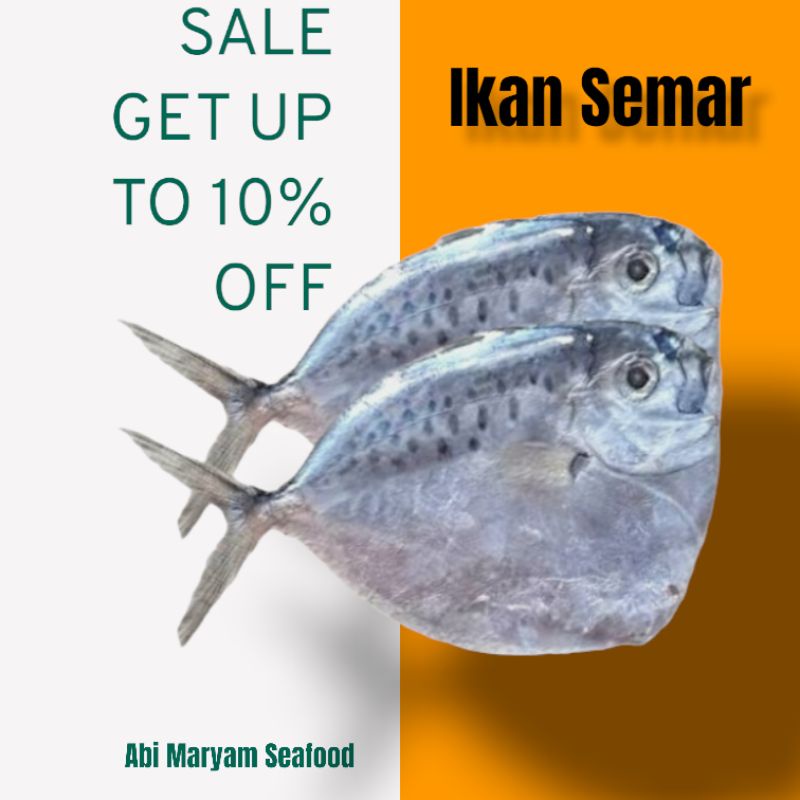 Jual Ikan Semar Fresh Berkualitas 1 kg | Shopee Indonesia