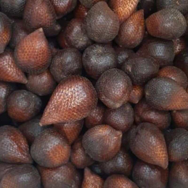 Jual Salak Pondoh 1 kg | Shopee Indonesia