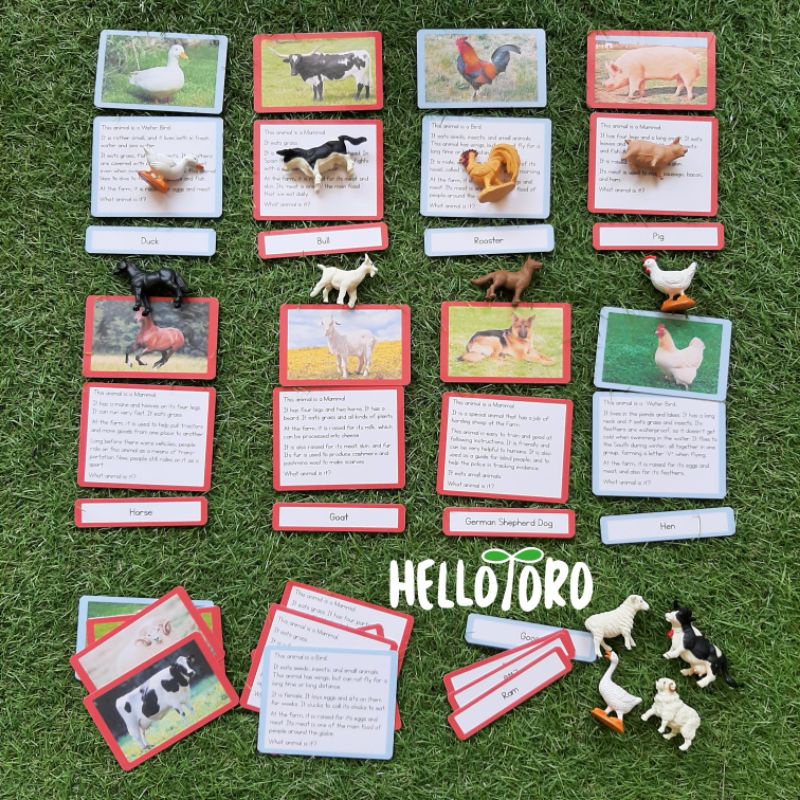Jual Animal Picture Card + Who Am I Hewan Montessori Culture | Shopee ...