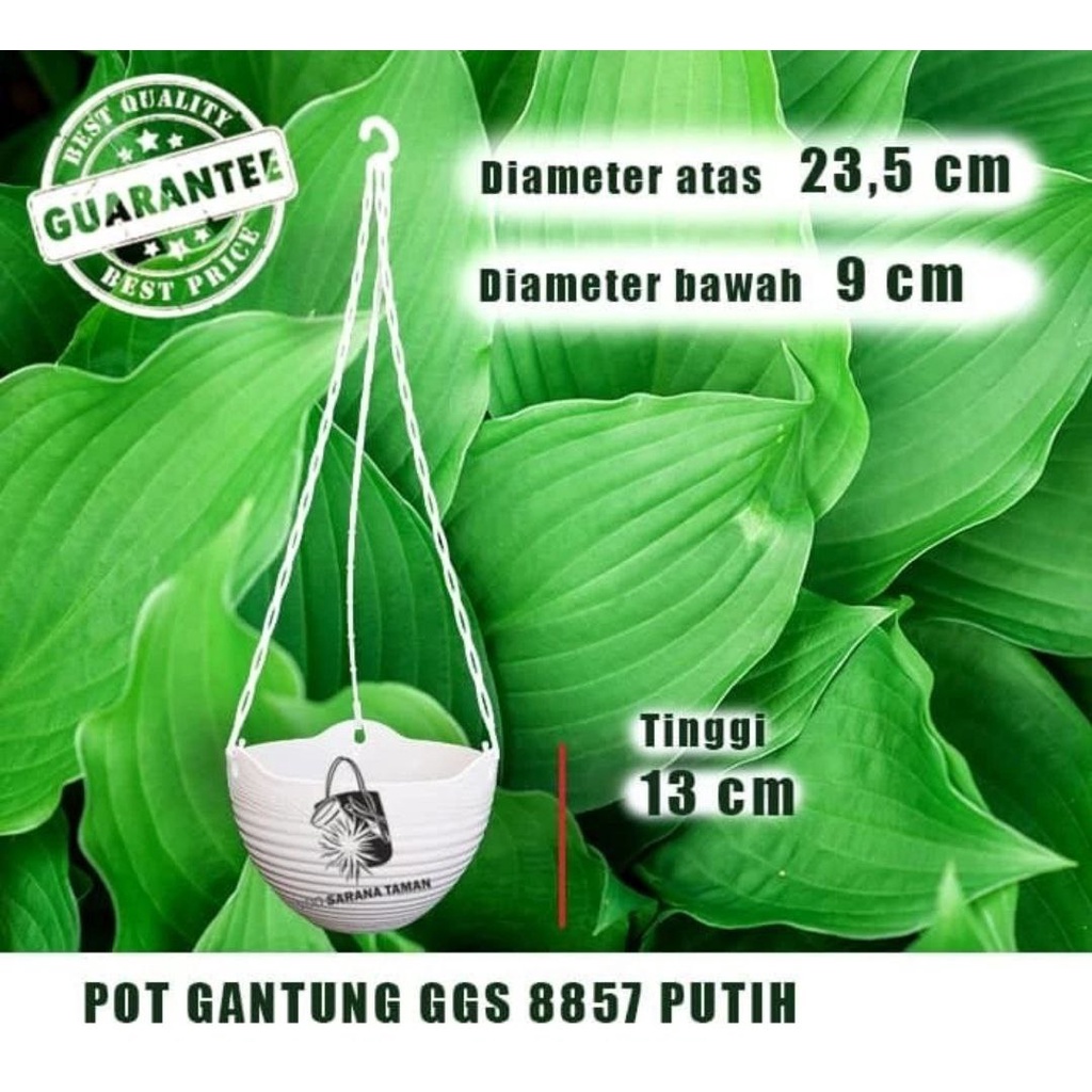 Jual POT GANTUNG GGS 8857 PUTIH Pot Vertical Garden Pot Tanaman Pot ...