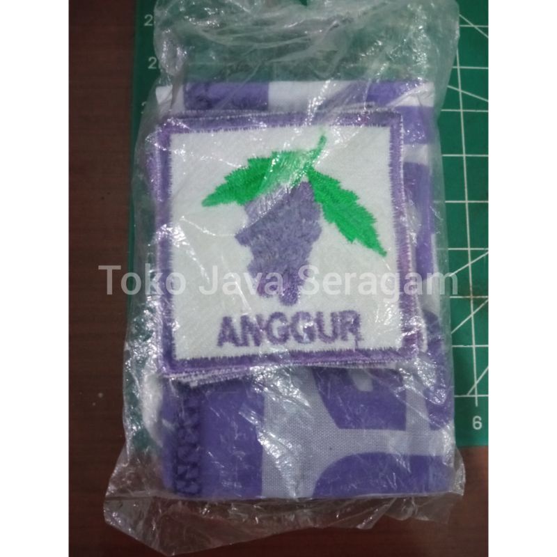 Jual Bet 1 Set Tanda Regu & Bendera Bunga Buah Tumbuhan Pramuka Putri ...