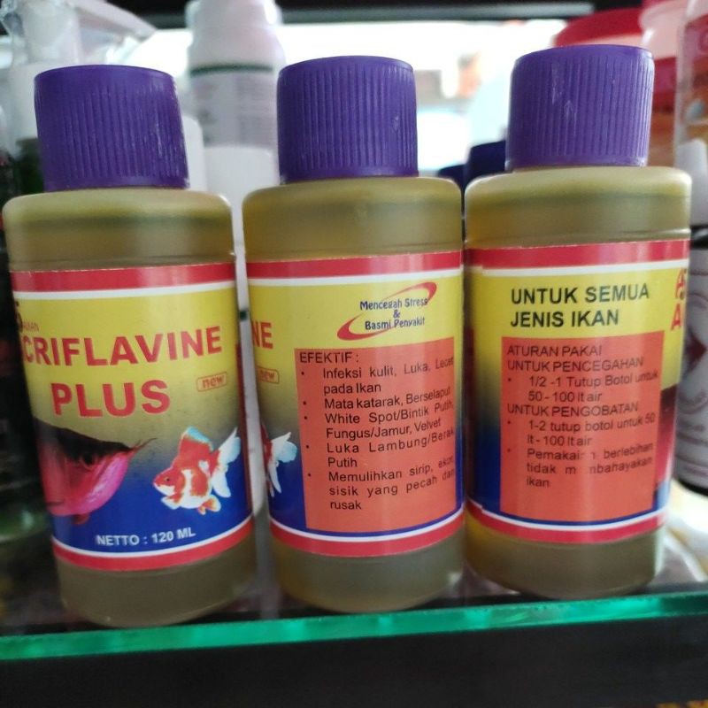 Jual Acriflavine plus / obat kuning 120ml | Shopee Indonesia