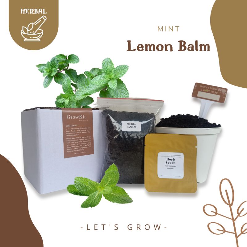 Jual Lemon Balm Mint Grow Kit Herb Planter Kit Paket Berkebun | Shopee ...