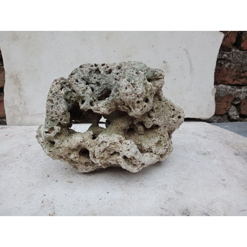 Jual BATU KARANG AQUARIUM AQUASCAPE JUMBO // BATU TRUMBU KARANG // BATU ...