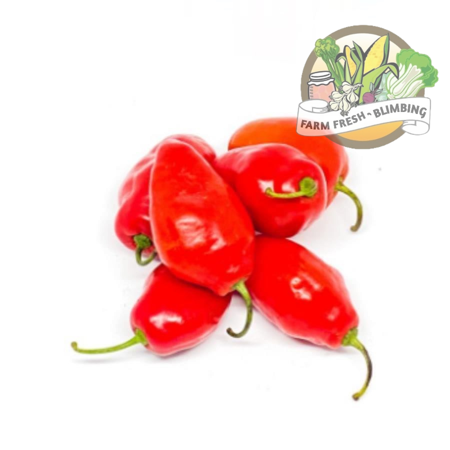 Jual Cabai Gendot Merah 1kg | Shopee Indonesia
