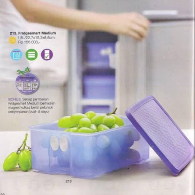Jual fridgesmart medium tupperware | Shopee Indonesia