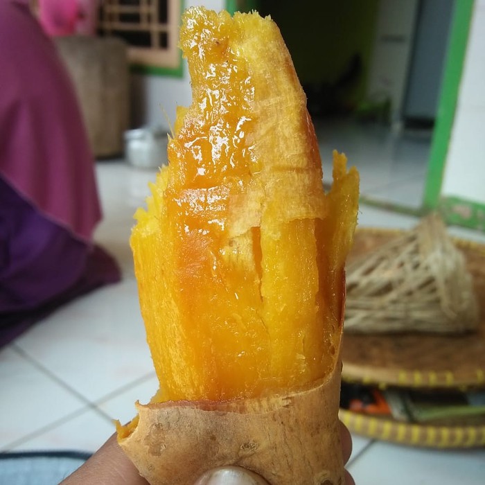 Jual Ubi Cilembu Matang oven / ubi madu bakar / ubi panggang | Shopee ...