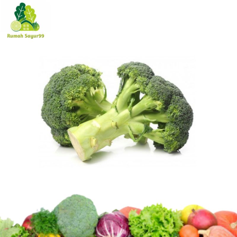 Jual Brokoli hijau segar perbuah ( 300gr - 500gr ) | Brokoli segar ...