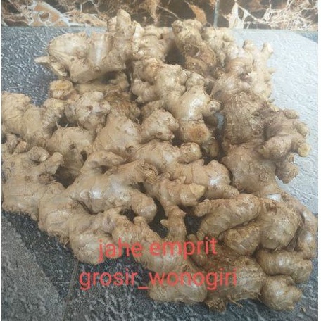 Jual JAHE EMPRIT - JAHE MERAH - TEMULAWAK- TEMU IRENG - EMPU KUNYIT - KUNYIT PUTIH GOMBYOK ...