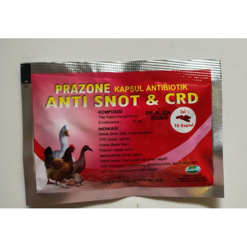 Jual PRAZONE 10 kapsul obat pilek ayam bebek anti snot antisnot CRD ...