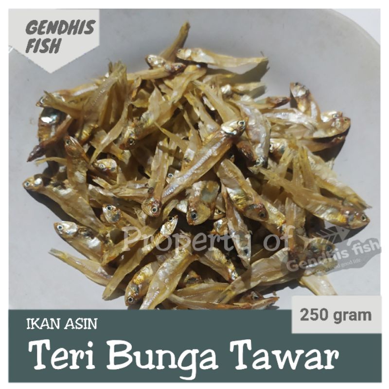 Jual Ikan Asin Teri Bunga / ikan teri bunga | Shopee Indonesia
