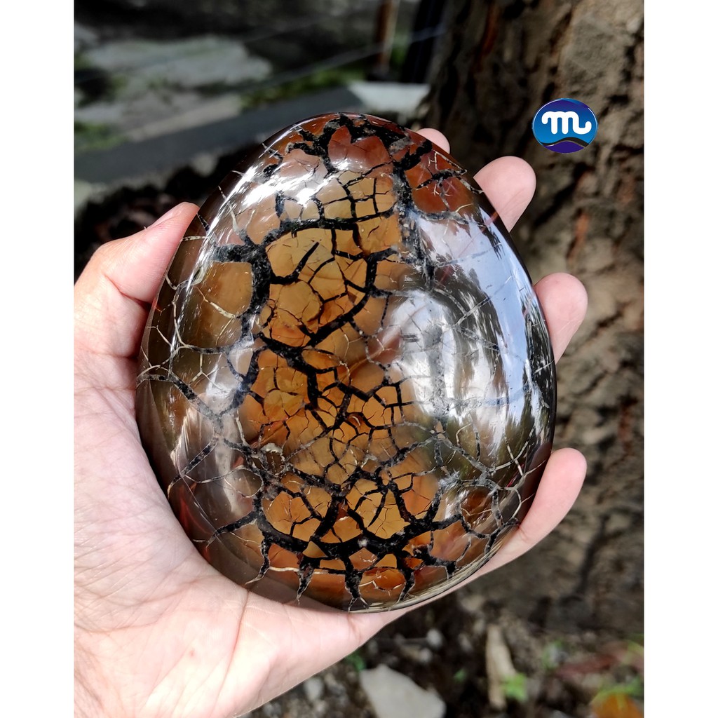 Jual Bongkahan Batu Septarian - Batu Sisik Naga Poles BB-658 | Shopee ...