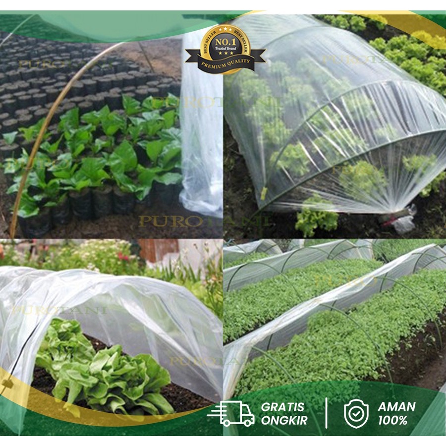 Jual Plastik Cor sungkup penutup tanaman Lebar 1 Meter Panjang 25 Meter ...