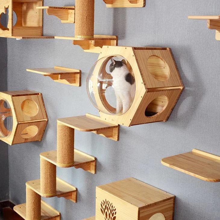 Jual Rumah Kucing Lompat Dinding - Kotak Kucing - Kandang Kucing - Tipe ...