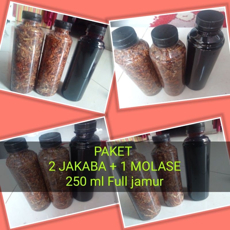 Jual 2 JAKABA + 1 MOLASE Paket Komplit full jamur | Shopee Indonesia