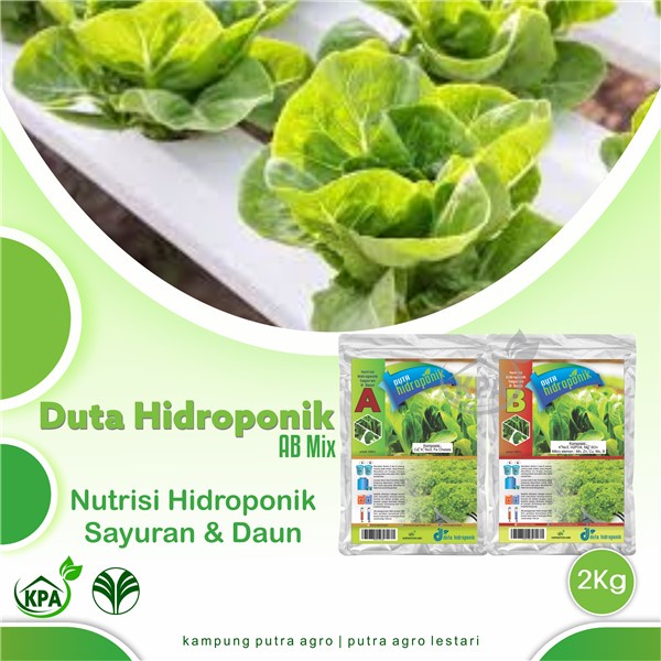 Jual Nutrisi Tanaman Agar tumbuh dengan baik - AB mix DUTA HIDROPONIK ...