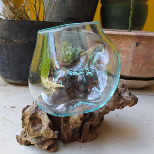 Jual GLASS ON WOOD/AQUARIUM AKAR KAYU/AQUARIUM CUPANG/AQUASCAPE ...