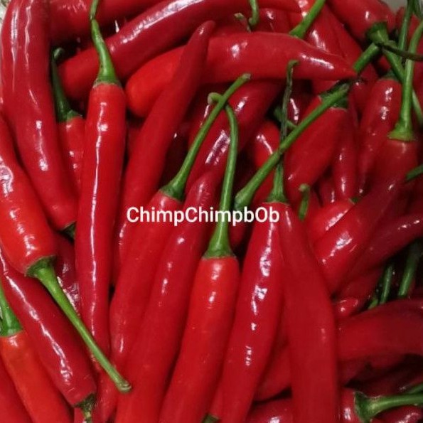 Jual CABE MERAH BESAR 100 GRAM SEGAR / RED BIG CHILLI FRESH | Shopee ...