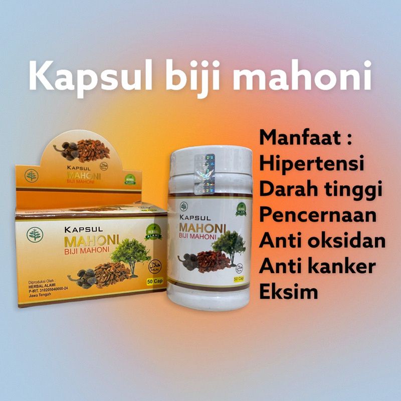 Jual Biji Mahoni Kapsul 50 Kapsul Biji Mahoni Obat Herbal Alami ...
