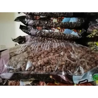 Jual Koko Crunch Terlengkap & Harga Terbaru Maret 2025 | Shopee Indonesia