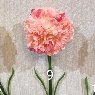 Jual Bunga Carnation Anyelir Artificial Latex x1 ( Ada 10 Warna , HARGA ...