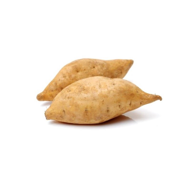 Jual Ubi Putih (1 kg) | Shopee Indonesia