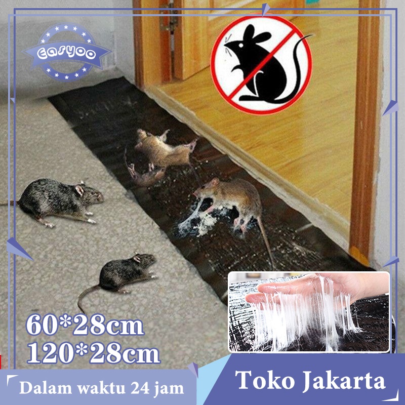 Jual Lem Tikus Ampuh 0.6m 1.2m Perangkap Jebakan Lem Tikus Jumbo Super ...