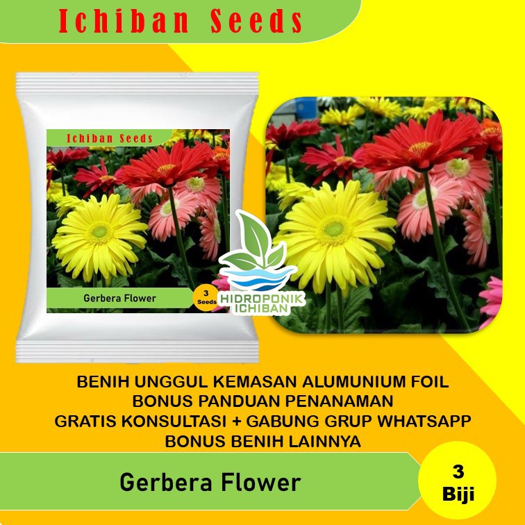 Jual Benih Bibit Biji Bunga Gerbera Flower Kemasan Alumunium Foil ...