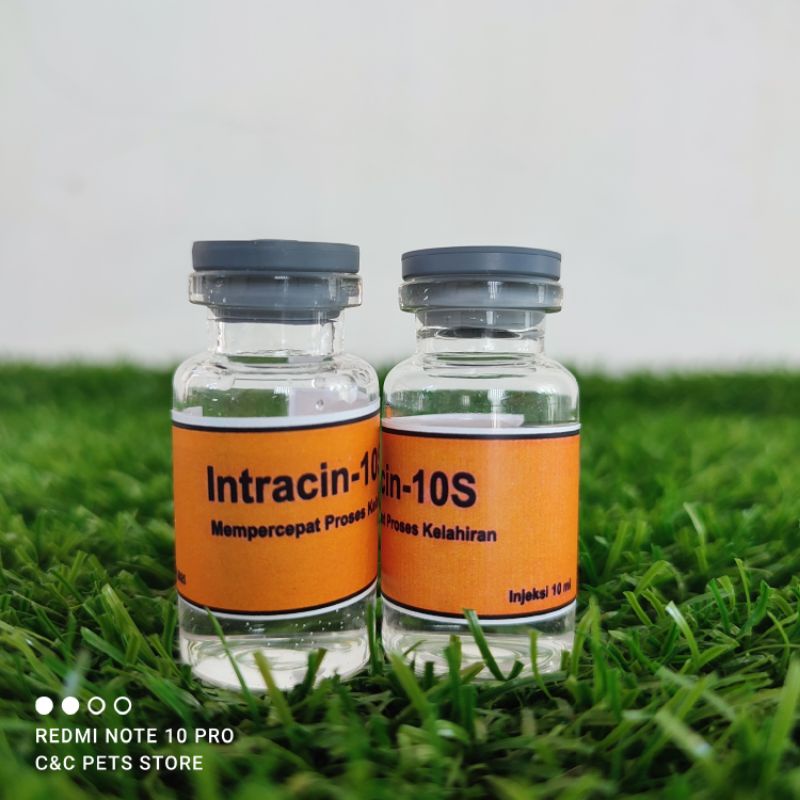 Jual Intracin 10S Injeksi 10 ml (Oxytocin) | Shopee Indonesia