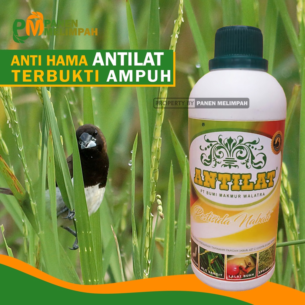 Jual Pupuk Pestisida Organik Cair Insektisida Organik Obat Anti Hama Racun Pembasmi Hama Burung ...