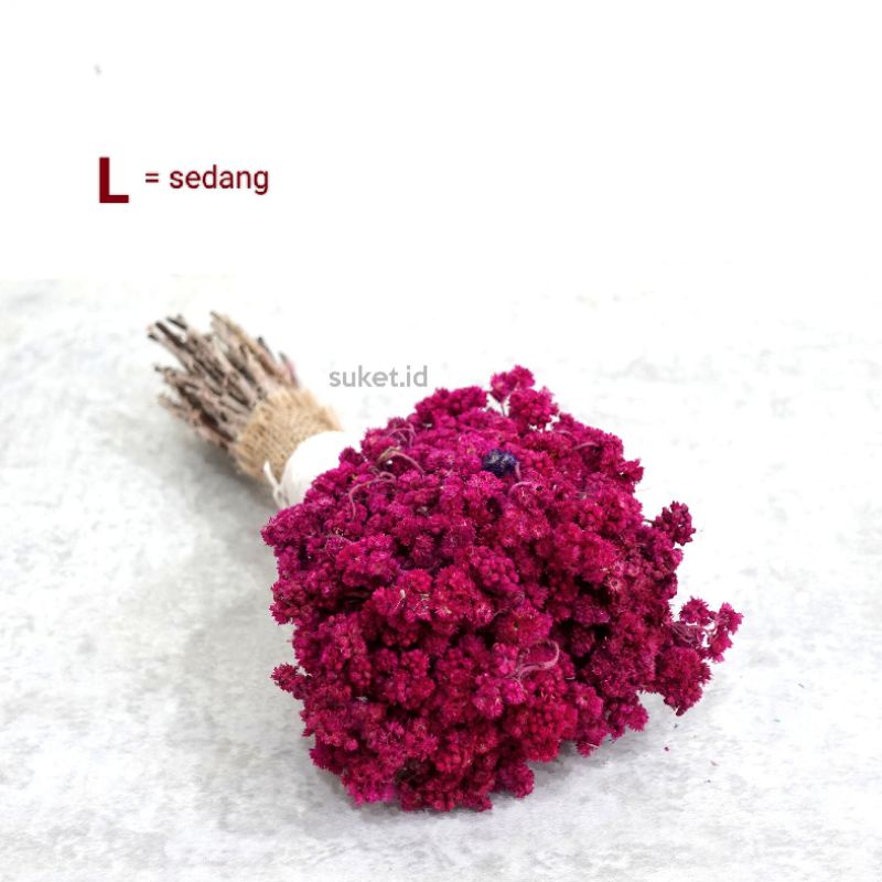 Jual BOUQUET BUNGA EDELWEIS (bunga buket Abadi) | Shopee Indonesia