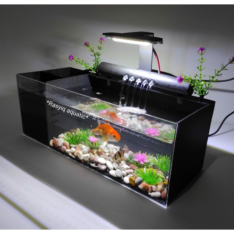 Jual AQUARIUM KOTAK MINI AKRILIK PVC FULLSET MURAH DENGAN MESIN FILTER ...