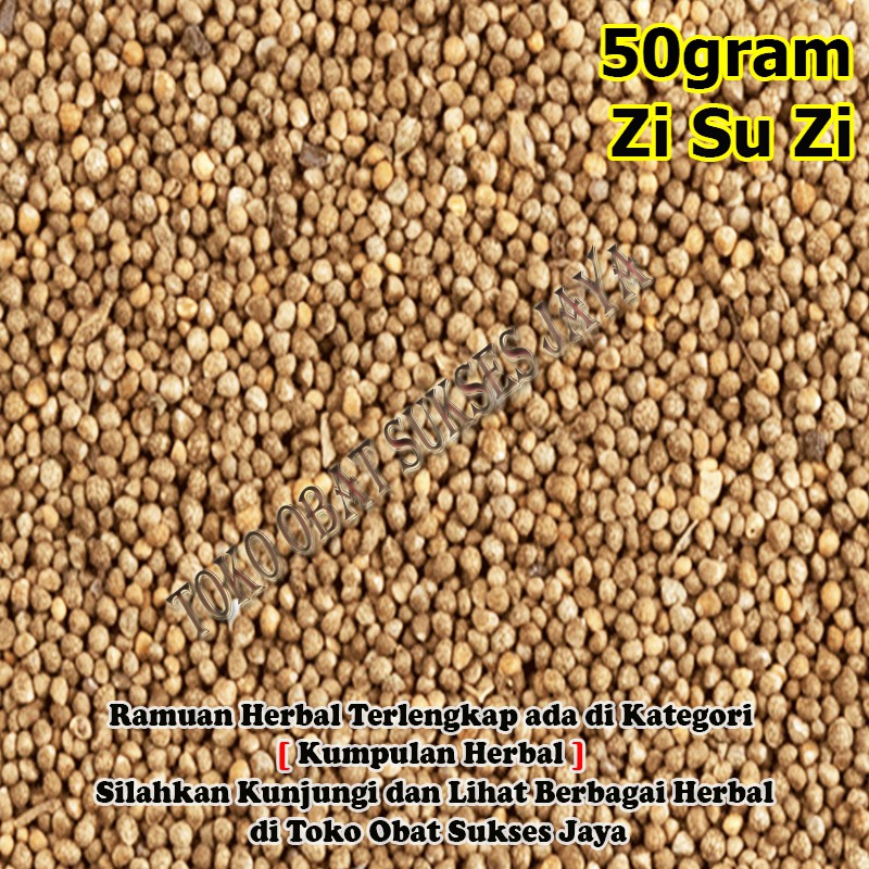 Jual [50gram] Zi Su Zi / Perilla Seed - Fructus Perillae Frutescentis ...