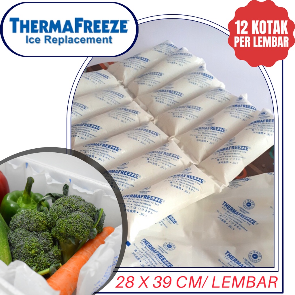 Jual THERMAFREEZE LEMBARAN ISI 12 CELL / ICE PACK ICE GEL PENGAWET ...