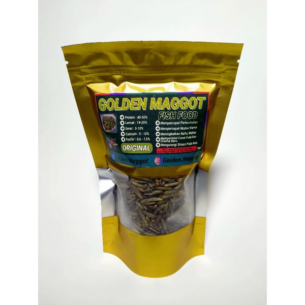 Jual MAGGOT KERING By GOLDEN MAGGOT 50gram | Shopee Indonesia
