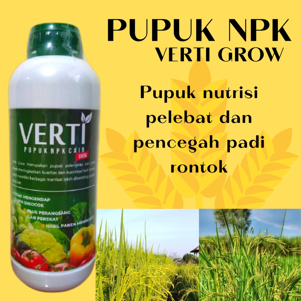 Jual Pupuk Anakan Padi Verti Grow, Pupuk NPK Cair Obat Semprot Yang ...