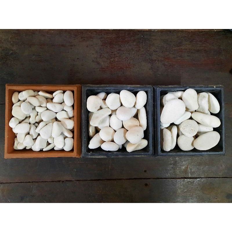 Jual Batu koral putih/ Batu kupang / Batu hias warna putih / Batu alam ...