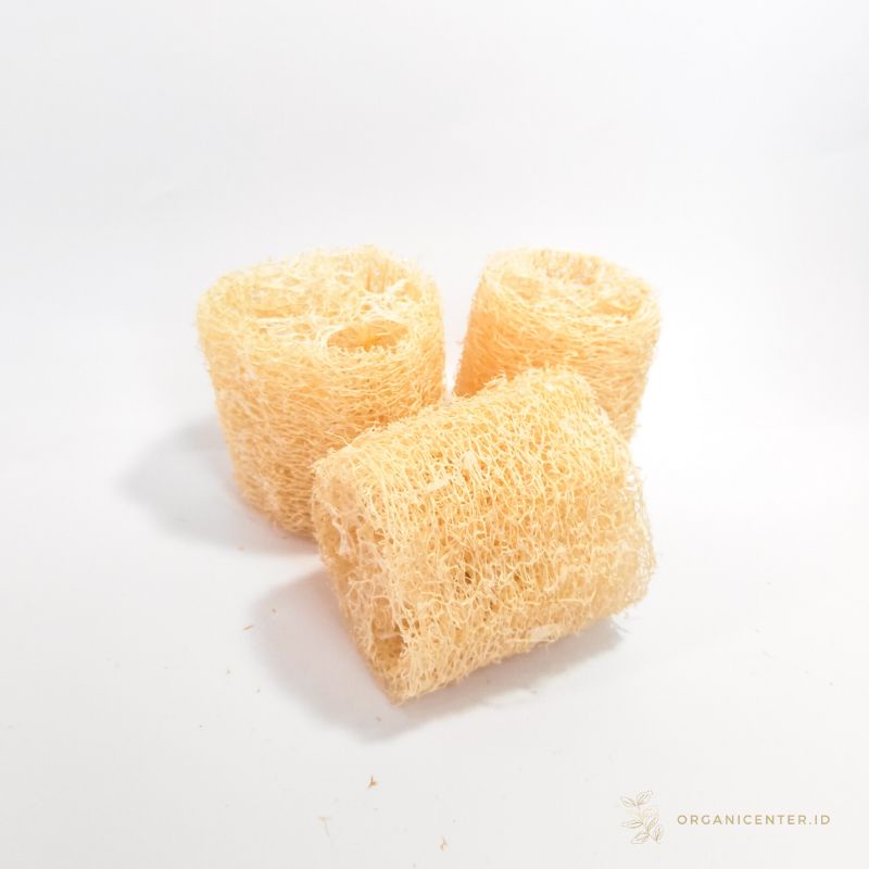 Jual Loofah Sponge Mini / Spons Gambas Natural Alami / Spons Sabut Cuci ...