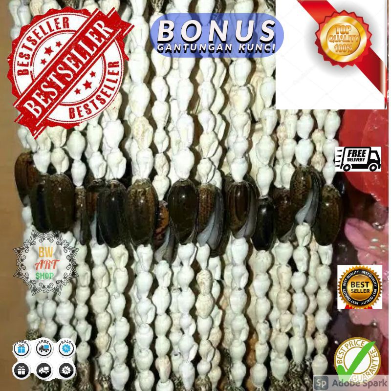 Jual TIRAI KERANG ( 1SET ISI 20 HELAI ) KERANG ASLI | Shopee Indonesia