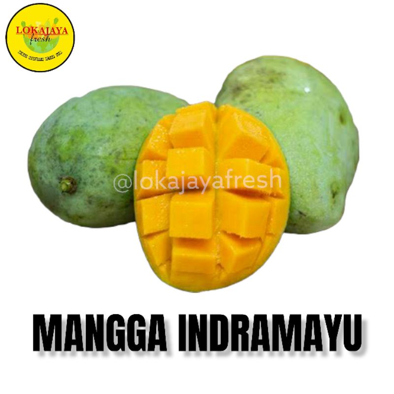Jual Mangga indramayu 1 Kg Super | Shopee Indonesia