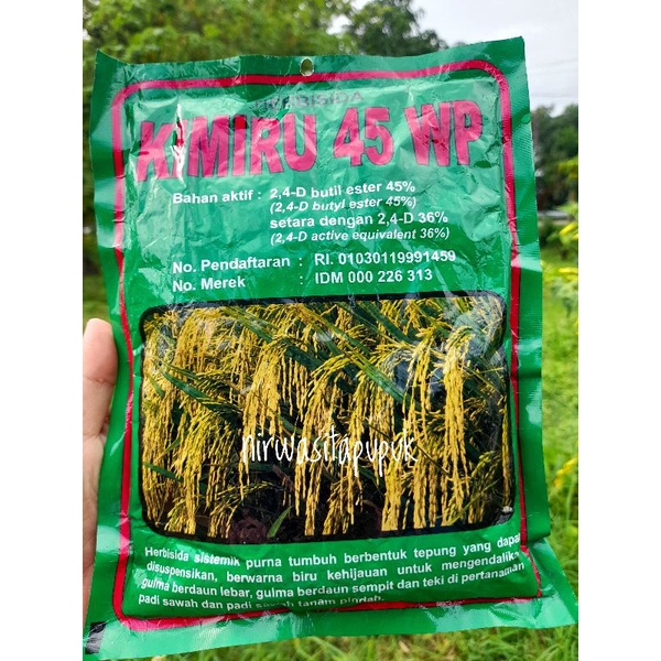 Jual Herbisida Kimiru 45WP kemasan 200gr Kimiru Herbisida Sistemik Purna Tumbuh | Shopee Indonesia