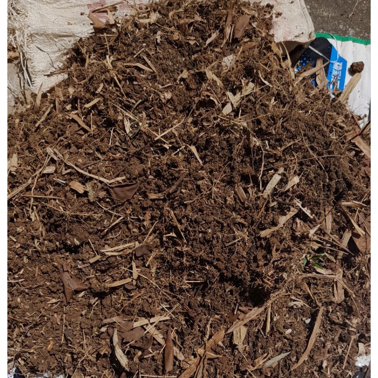 Jual humus daun bambu 1kg | Shopee Indonesia