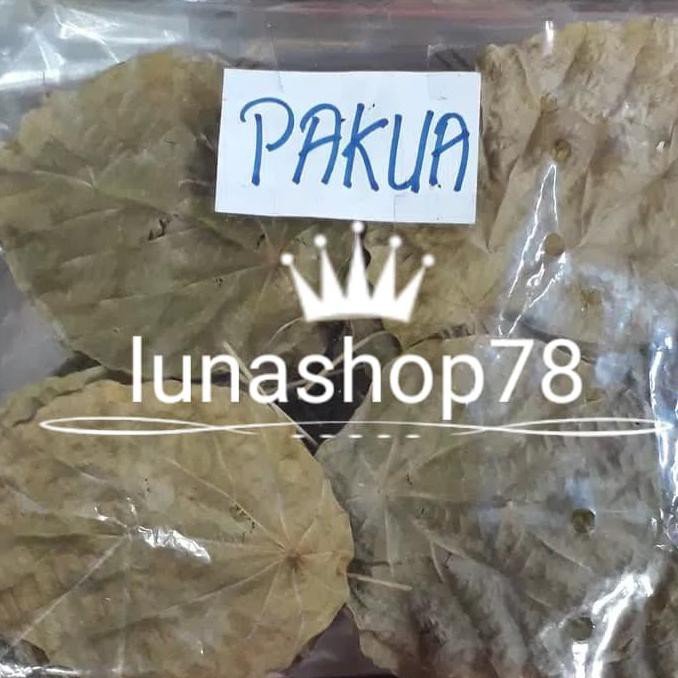 Jual Best Seller] Daun Pak Kua Pakua Pakkua Pilihan Dan Sudah Bersih ...