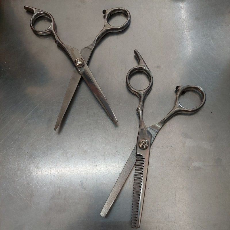 Jual Brainbow Gunting Rambut Full Stainless - Gunting Sasak penipis ...