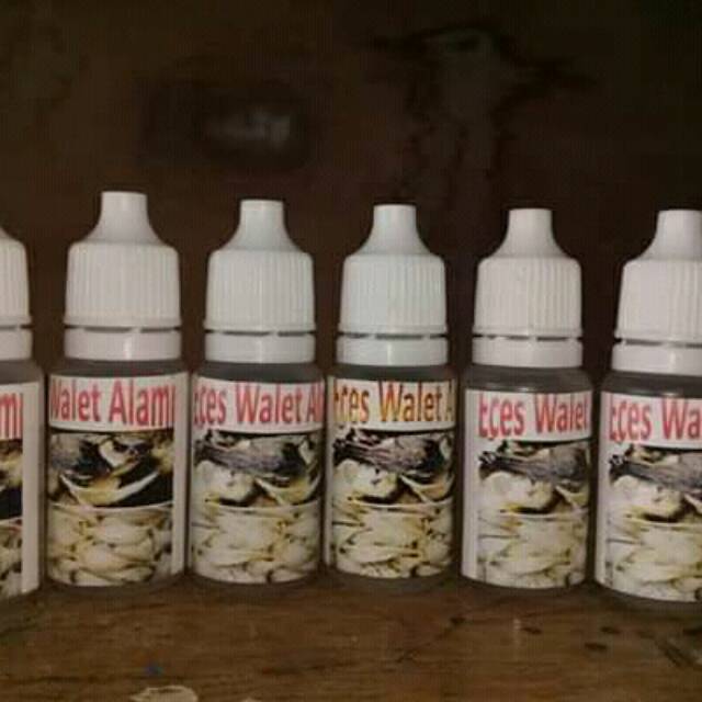 Jual Liur walet | Shopee Indonesia