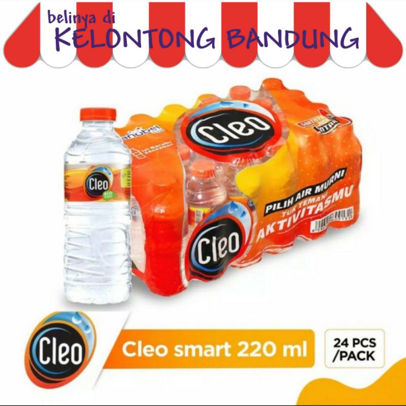 Jual Cleo Smart 220 ml Air Minum Mineral Botol Mini per pack dus karton | Shopee Indonesia