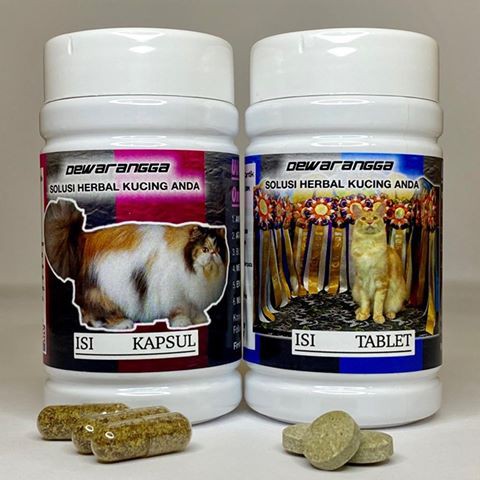 Jual Original Paket JAMURAN parah - Dewarangga Premium Murah | Shopee ...